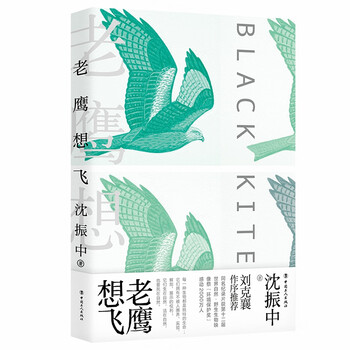 老鹰想飞