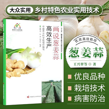 画说葱姜蒜高效生产 葱姜蒜种植技术书籍 葱姜蒜病虫害诊断及防治