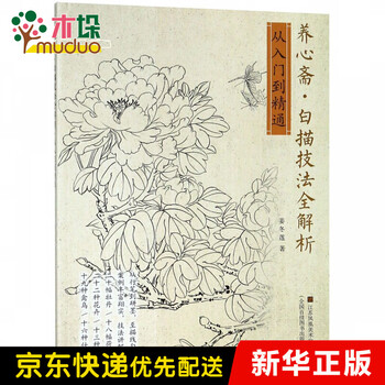 养心斋白描技法全解析(从入门到精通)