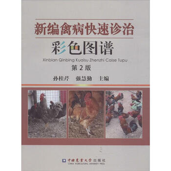 新编禽病快速诊治彩色图谱 第2版 孙桂芹,强慧勤 编 书籍