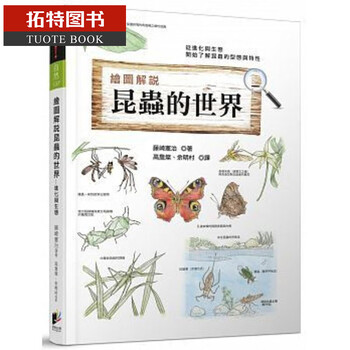 预售 台版 绘图解说 昆虫的世界 晨星