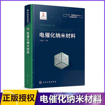 电催化纳米材料(纳米材料前沿)(精)