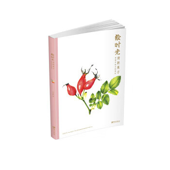 绘时光:清新果子