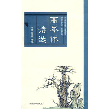 高岑体诗选 丁放 国学/古籍 9787810974035