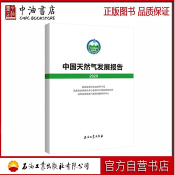 中国天然气发展报告2020年 石油工业出版社