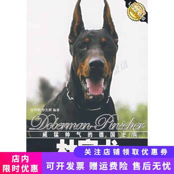 威猛帅气的德国士兵杜宾犬