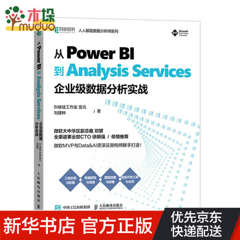 从Power BI到Analysis Services：企业级数据分析实战