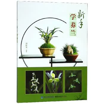 新手学养兰