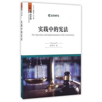 实践中的宪法/法治文库