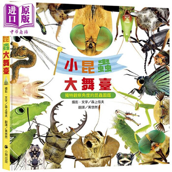 小昆虫大舞台 独特观察角度的昆虫图监 港台原版 森上信夫 小熊出版 科普