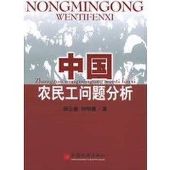 中国农民工问题分析 杨云善 中国经济出版社