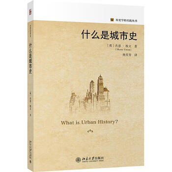 什么是城市史