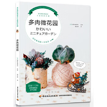 多肉微花园