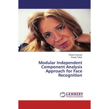 Modular Independent Component Analysis Approach