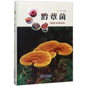 黔蕈菌