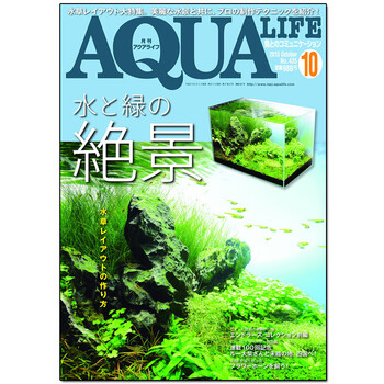 【包邮】订阅AQUA LIFE アクアライフ日版景观鱼饲养杂志 一年12期原版