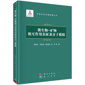 微生物-矿物相互作用表征及分子模拟