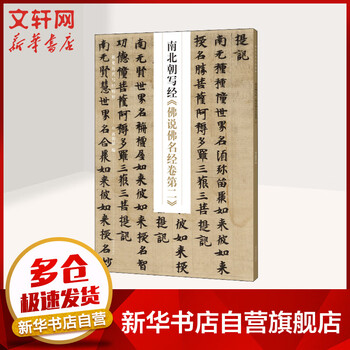 南北朝写经《佛说佛名经卷第二》 图书