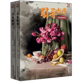 正版 引导数学.色彩静物照片9787514019612