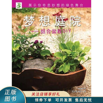 梦想庭院：组合盆栽DIY