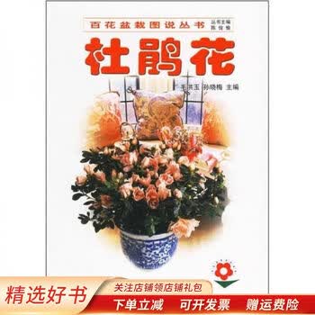 杜鹃花 毛洪玉