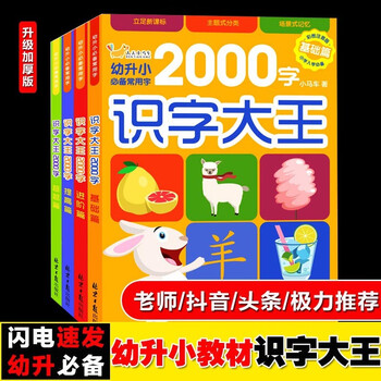 识字大王2000字幼升小常用字全套4册 基础儿童识字书学前识字幼儿早教启蒙 宝宝看图认字书 幼儿园大班一年级简单汉字学字教材