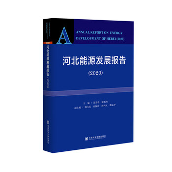 河北能源发展报告2020