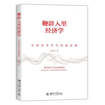 鞭辟入里经济学——中国改革年代的新思维 北京大学旗舰店正版