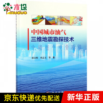 中国城市油气三维地震勘探技术(精)