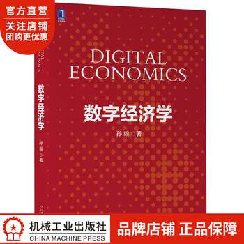 正版 数字经济学孙毅8084804