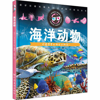 海洋动物