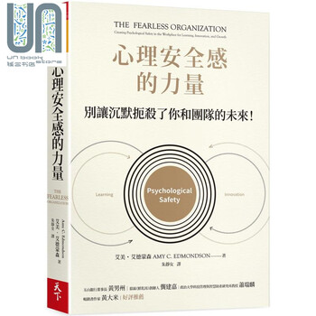 心理安全感的力量：别让沉默扼杀了你和团队的未来 港台原版 艾美．艾德蒙森 天下杂志