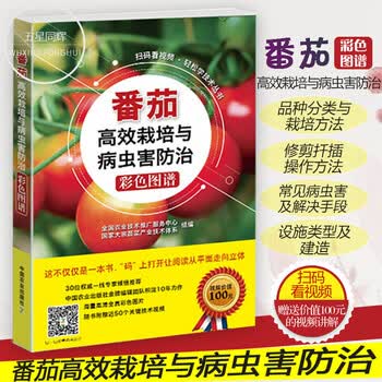 正版包邮 番茄高效栽培与病虫害防治彩色图谱 大宗蔬菜产业技术体系 种植农业 轻松学技术丛书