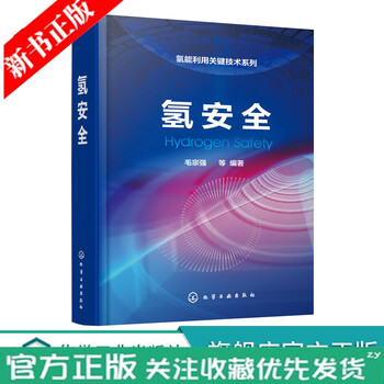 氢安全 毛宗强  氢能利用关键技术系列 