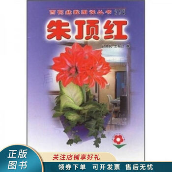 朱顶红 吕英民