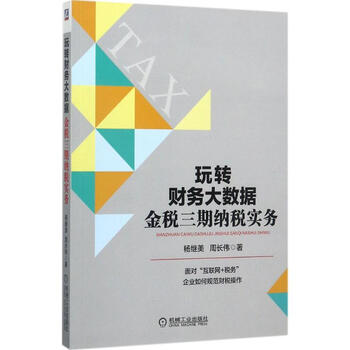 玩转财务大数据