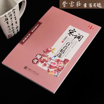 田英章钢笔楷书练字帖成年楷书大小学生行楷行书正楷体临摹 词楷书