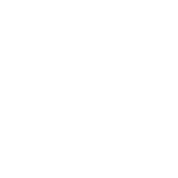 巨人的碰撞:一部全新的苏德战争史