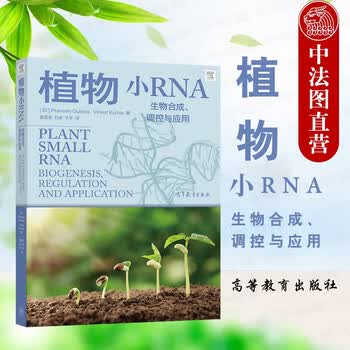 正版2021新 植物小RNA 生物合成调控与应用 植物发育 生物学遗传学 分子生物学研究应用 大学本科考研教材高等教育教科书