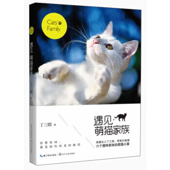 遇见 萌猫家族