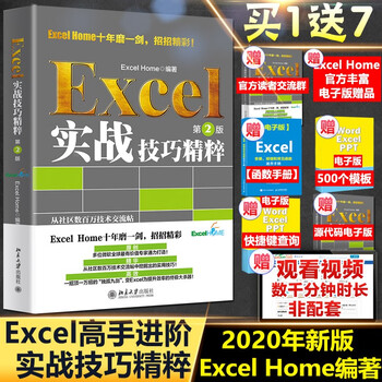 Excel 实战技巧精粹（第2版）