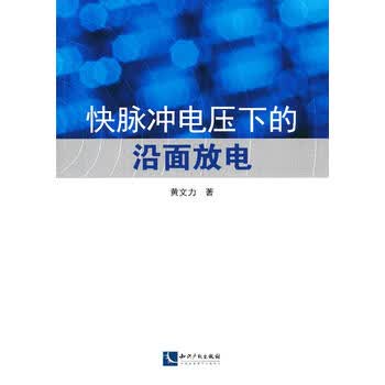 快脉冲电压下的沿面放电【正版图书】