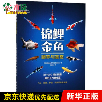 锦鲤金鱼喂养与鉴赏