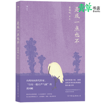 是或一点也不 华语文学 故事及短文的集大成之作 小说 当代小说 黄国峻 9787505749320