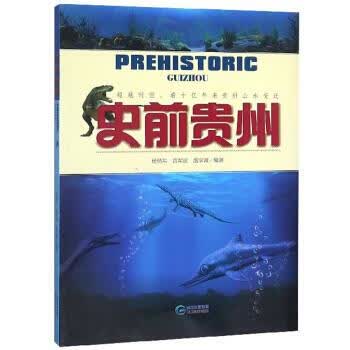 正版史前贵州杨瑞东高军波盛学庸