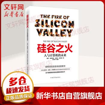 硅谷之火 人与计算机的未来