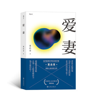 新书预售后浪正版 爱妻 台北书展大奖获奖作品 香港标志性作家董启章著作 华文文学 言情小说书籍