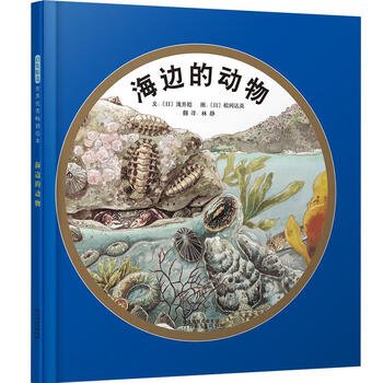 海边的动物 浅井稔, 松冈达英, 林静 9787554500231 河北教育出版社