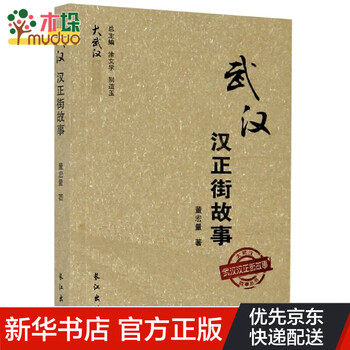 武汉汉正街故事/大武汉故事丛书