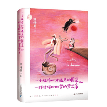 一个迷路时才遇见的国家和一群清醒时做梦的梦想家